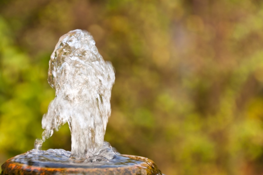 Blog – Heart of Business